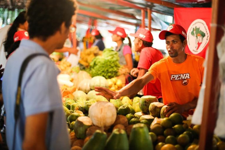 Popular Agrarian Reform and the Struggle for Land in Brazil ...