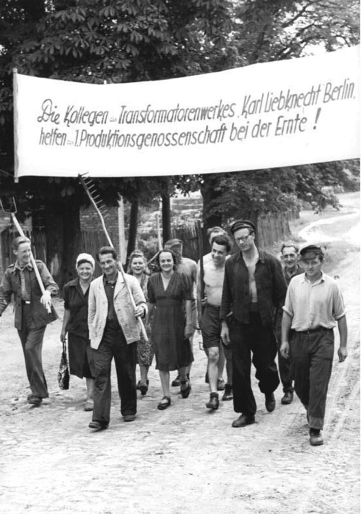 Risen from the Ruins: The Economic History of Socialism in the German ...