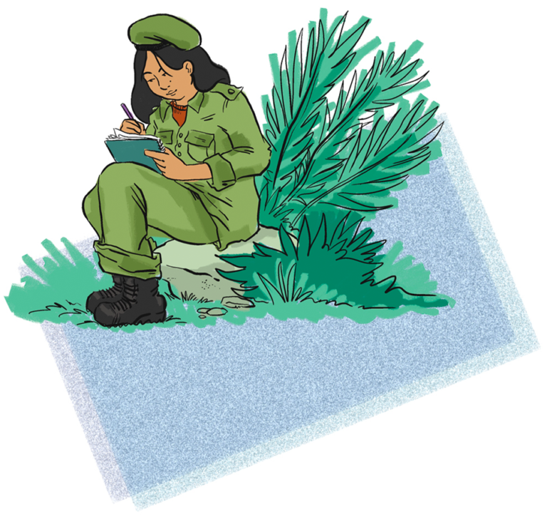 Chrysalises: Feminist Memories from Latin America and the Caribbean