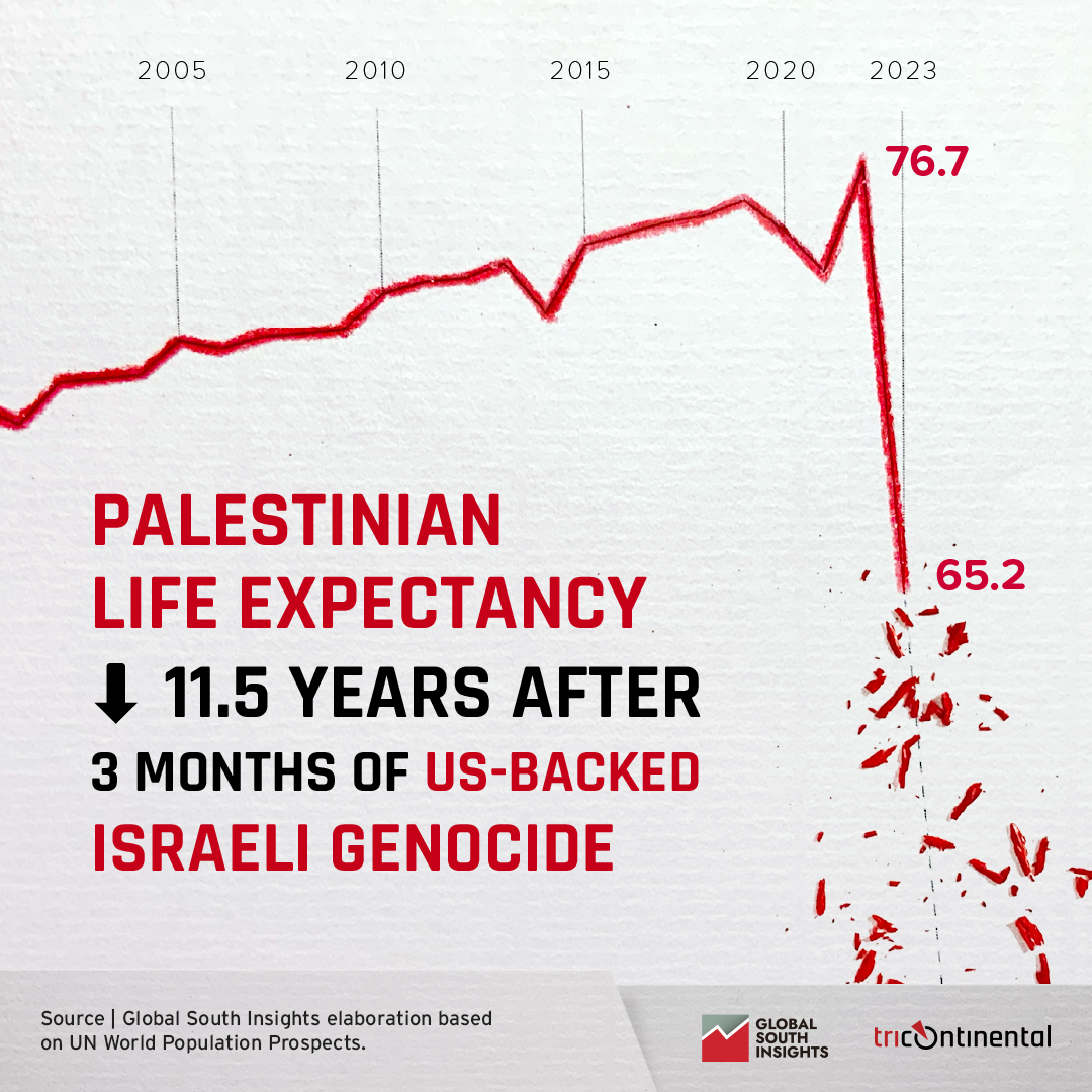 The Life Expectancy of Palestinians Fell by 11.5 Years in the First ...
